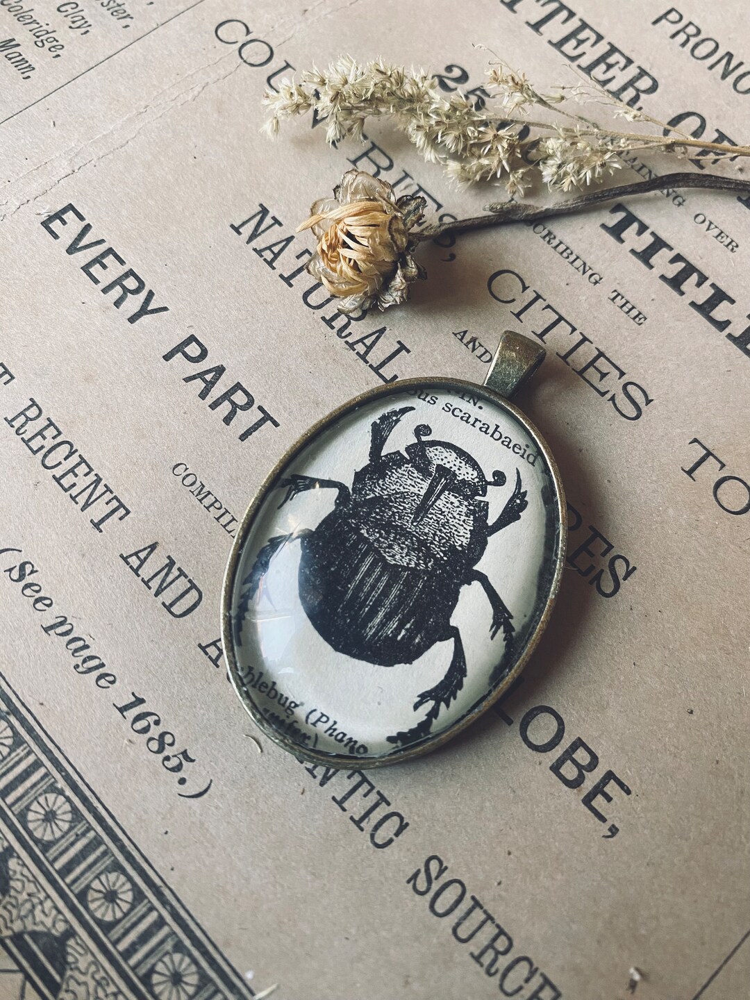 Tumble Bug Necklace - Curio Jewelry - Beetle Necklace - Beetle Jewelry ...