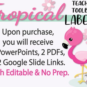 Tropical Teacher Toolbox Labels for School Supply Organization and ...