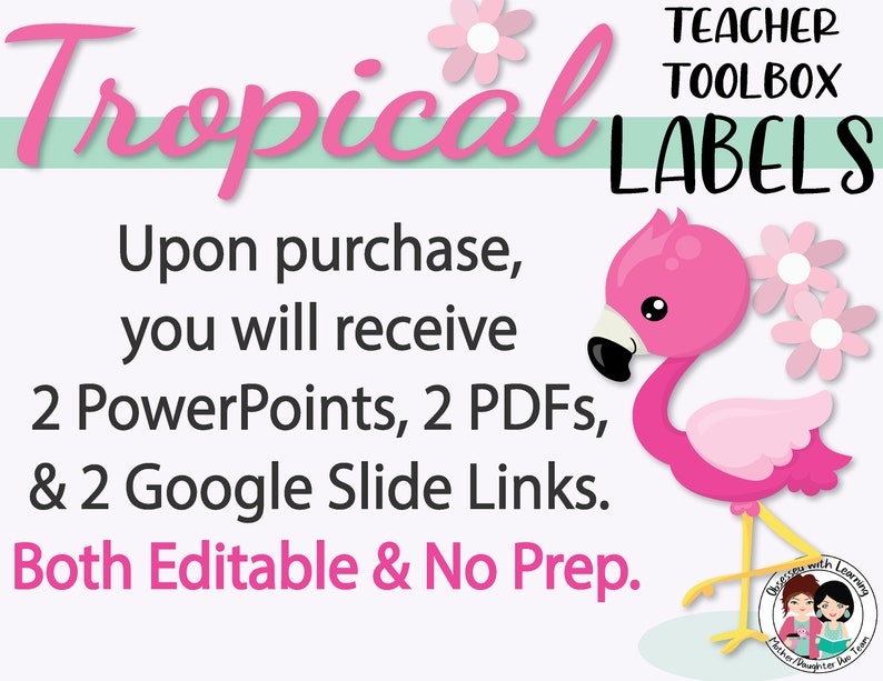 Tropical Teacher Toolbox Labels for School Supply Organization and ...