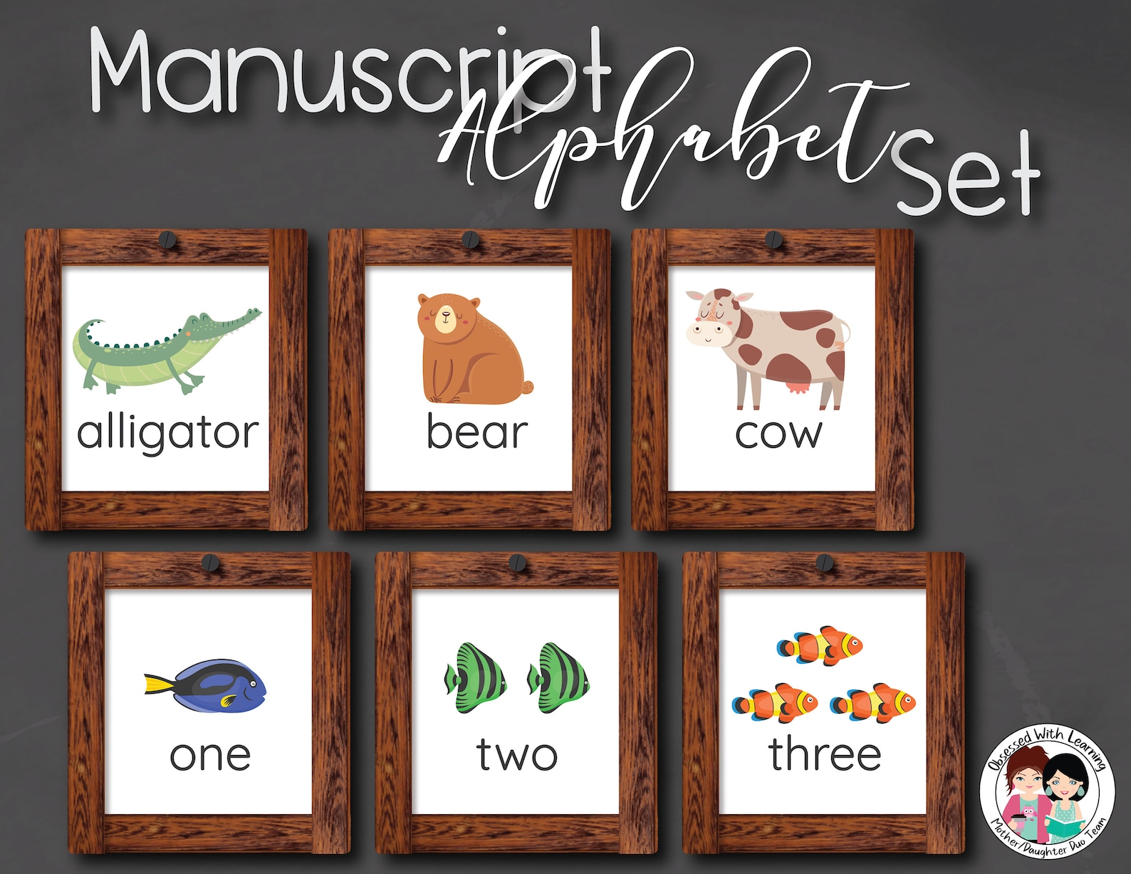 Alphabet Wall Cards Farmhouse Classroom Classroom Posters - Etsy