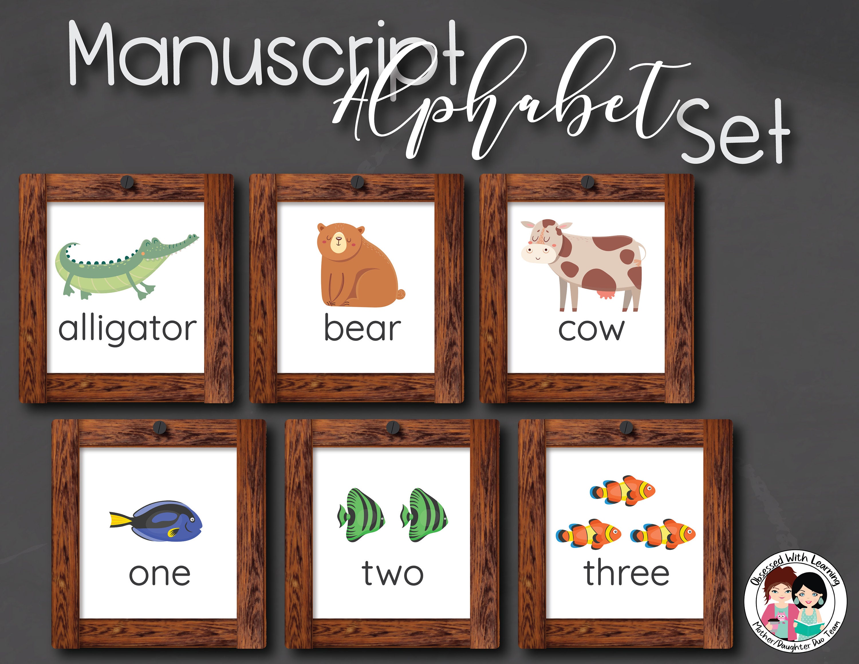 Alphabet Wall Cards Farmhouse Classroom Classroom Posters - Etsy