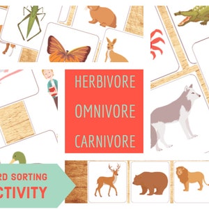 Herbivore Omnivore Carnivore Card Sorting Activity | Food Chain ...
