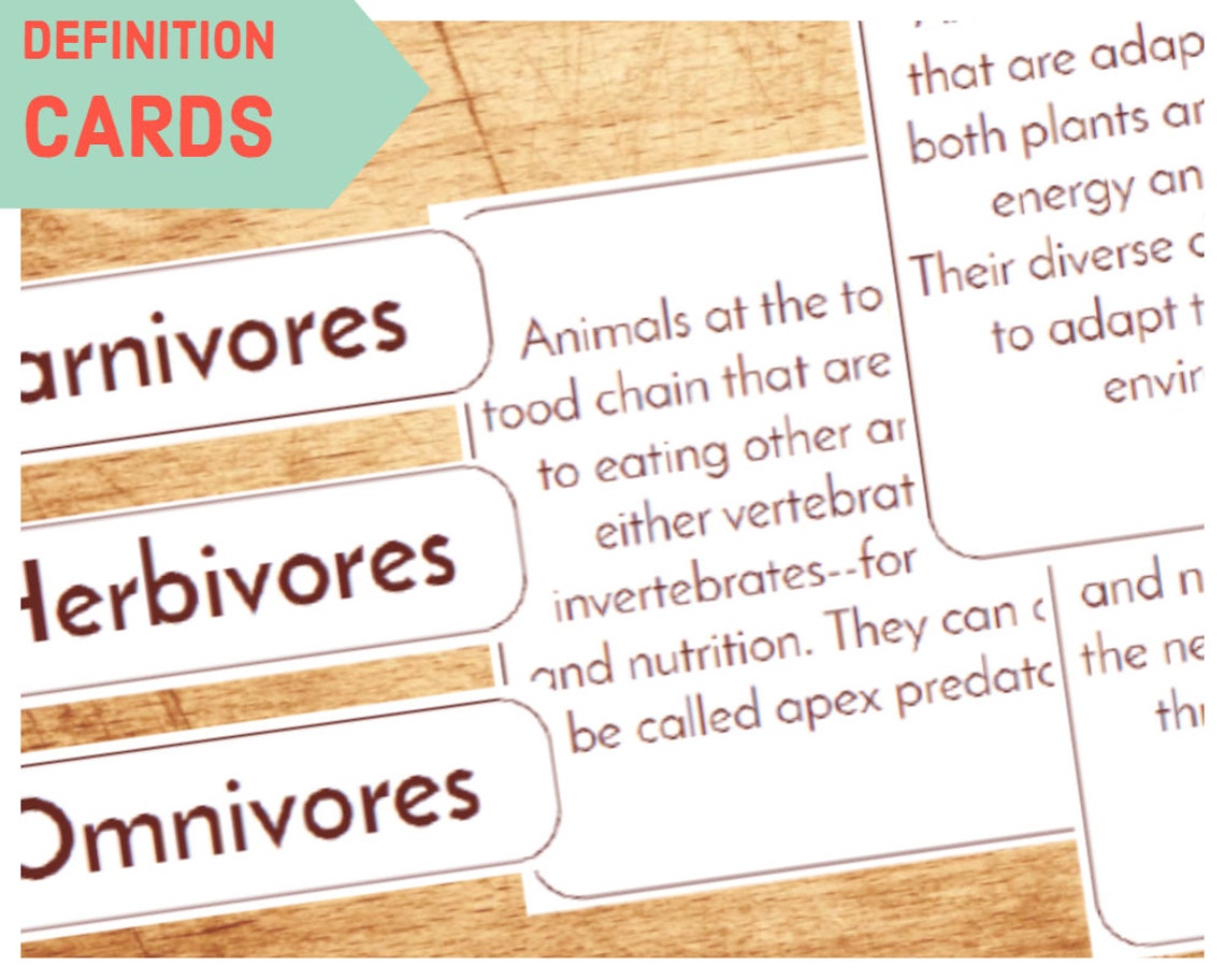 Herbivore Omnivore Carnivore Card Sorting Activity Food | Etsy