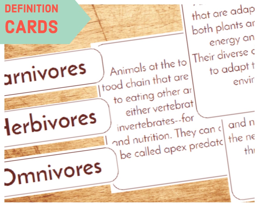 Herbivore Omnivore Carnivore Card Sorting Activity | Food Chain ...