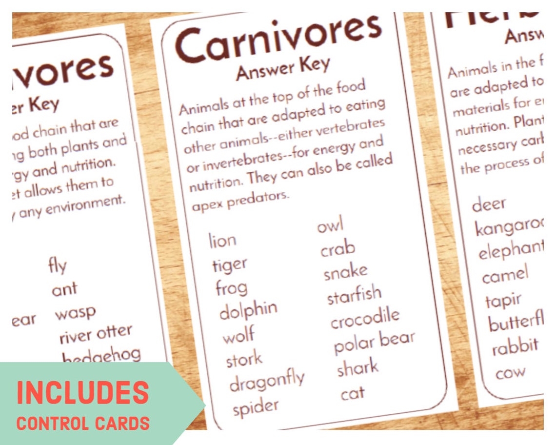 Herbivore Omnivore Carnivore Card Sorting Activity | Food Chain ...
