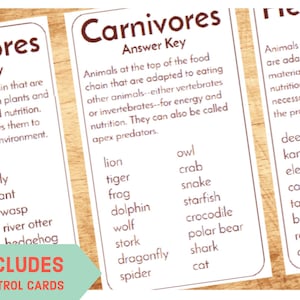 Herbivore Omnivore Carnivore Card Sorting Activity | Food Chain ...