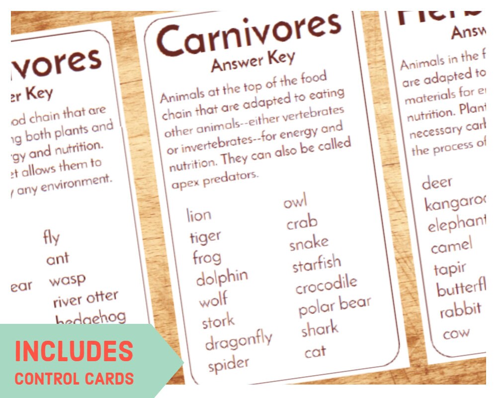 Herbivore Omnivore Carnivore Card Sorting Activity | Food Chain ...