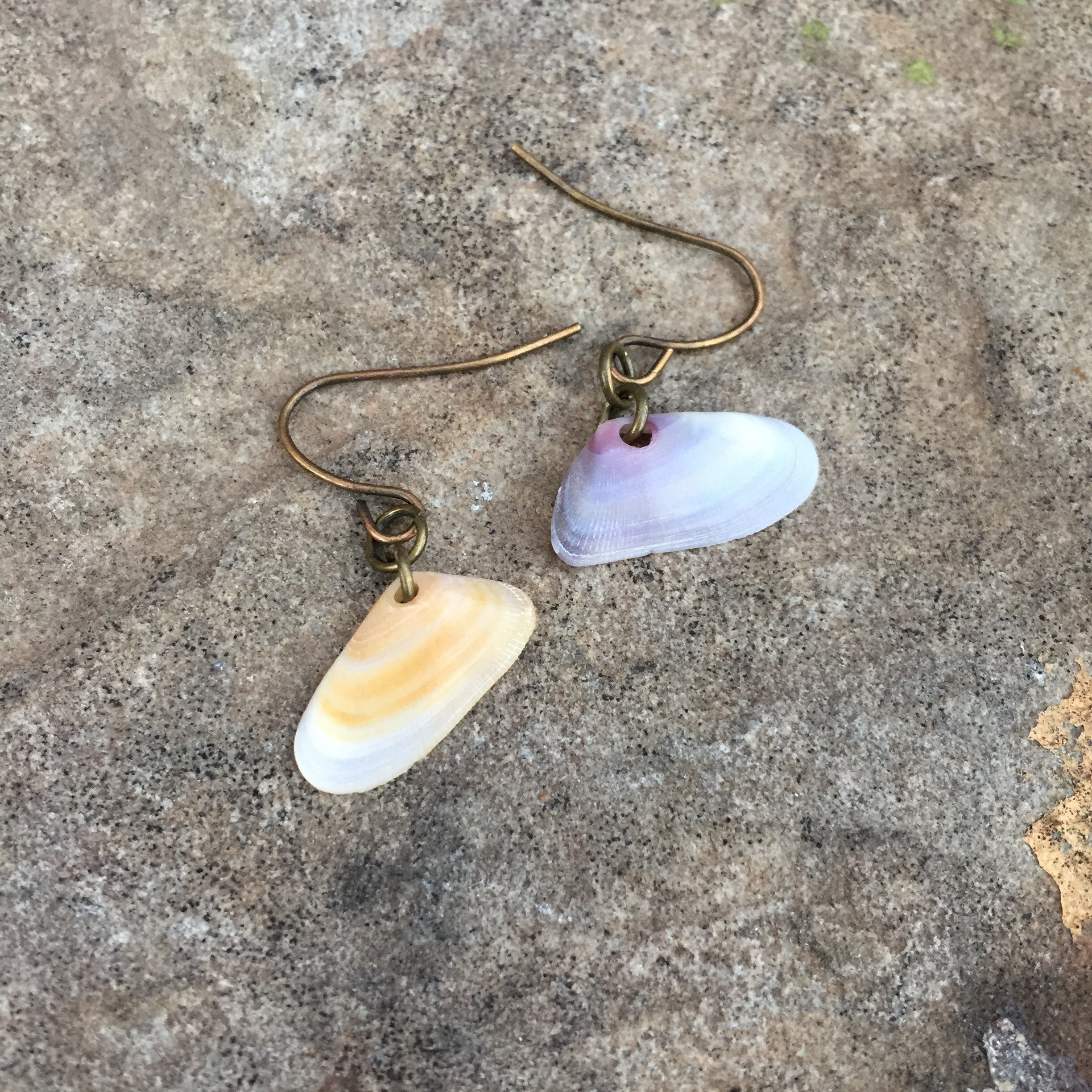 Coquina Shell With Carved Conch Cross Necklace With Bracelet - Etsy