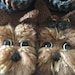 Yorkie: Slippers, Handmade, Crochet, Customizable - Etsy