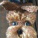 Yorkie: Slippers, Handmade, Crochet, Customizable - Etsy