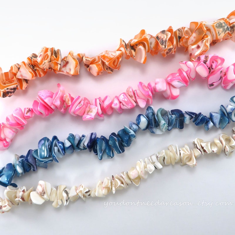 Trochus Shell - Etsy