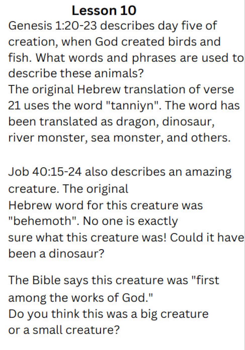 Bible Study Printable - Genesis 1 Family Bible Study - Etsy