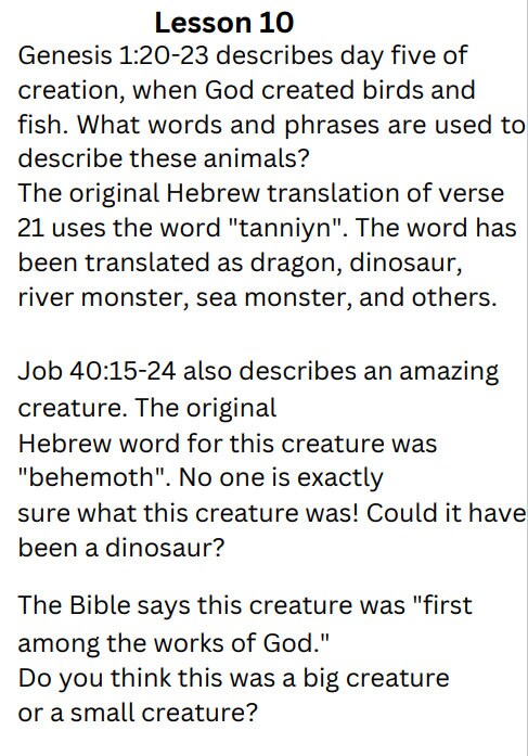 Bible Study Printable - Genesis 1 Family Bible Study - Etsy