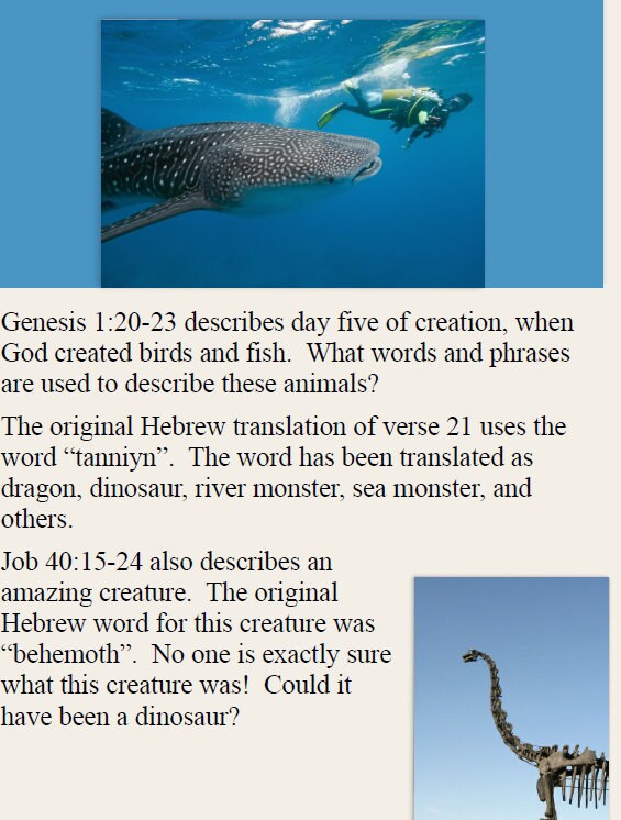 Homeschool Science, Homeschool, Homeschool Printable- Biology - Grades ...