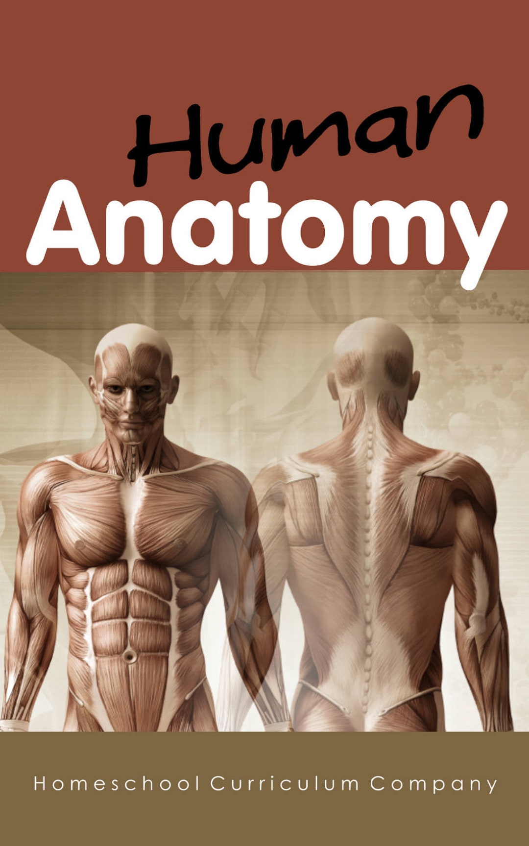Homeschool Curriculum - Science - Human Anatomy - Homeschool Science ...