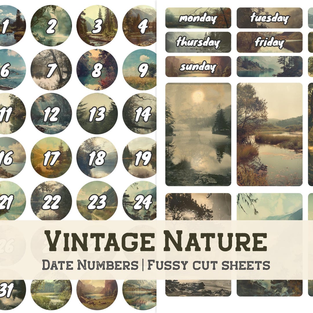 Numbers (1-31), Days, Dates | Printable Stickers for Bujo and Planners ...