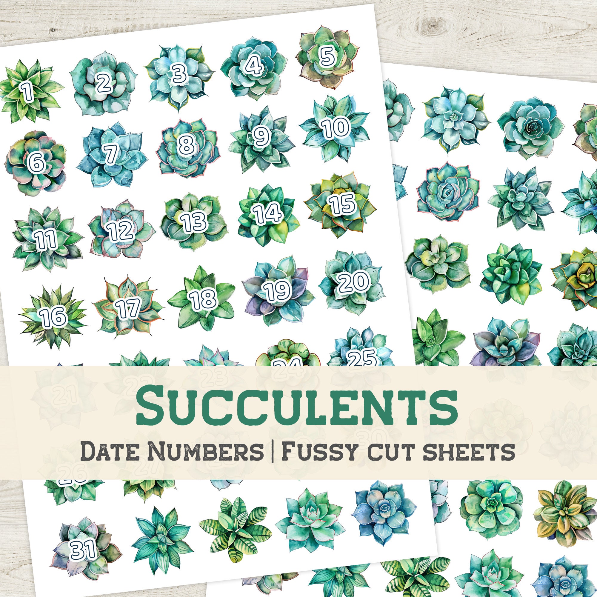 Succulents Date Numbers (1-31) | Printable Stickers for Bujo and ...