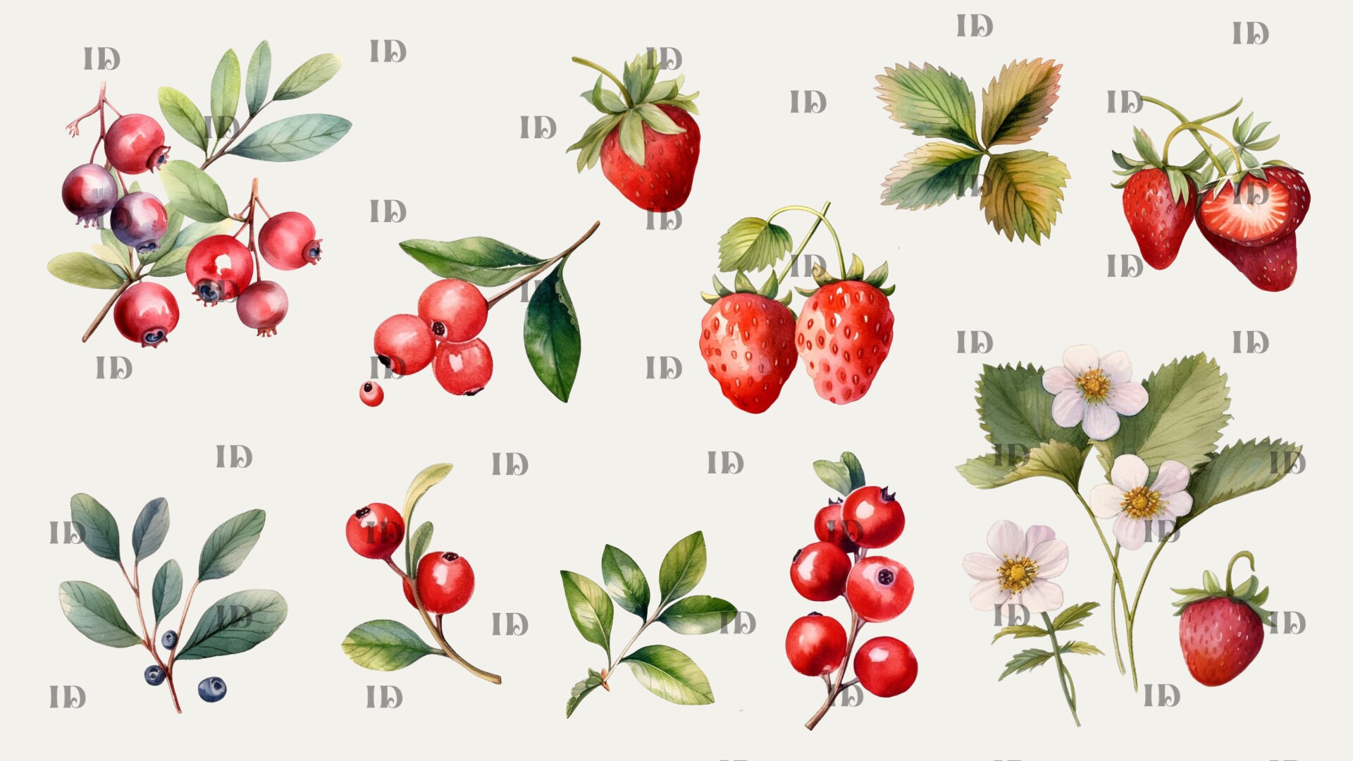 Nordic Berries Watercolor Clipart Set | Lingonberries, Cloudberries ...