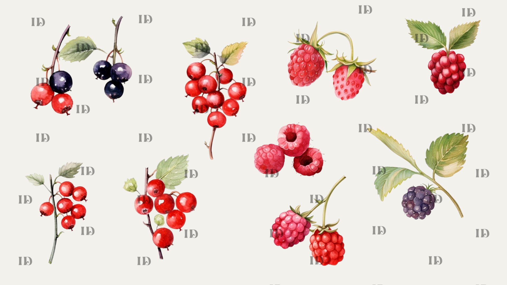 Nordic Berries Watercolor Clipart Set | Lingonberries, Cloudberries ... Nordic Berries Watercolor Clipart Set | Lingonberries, Cloudberries ...