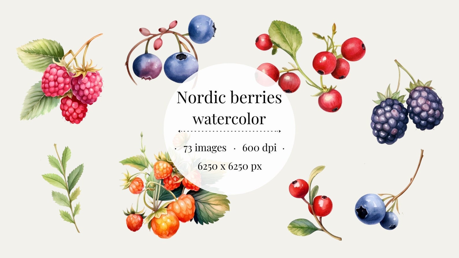 Nordic Berries Watercolor Clipart Set | Lingonberries, Cloudberries ...