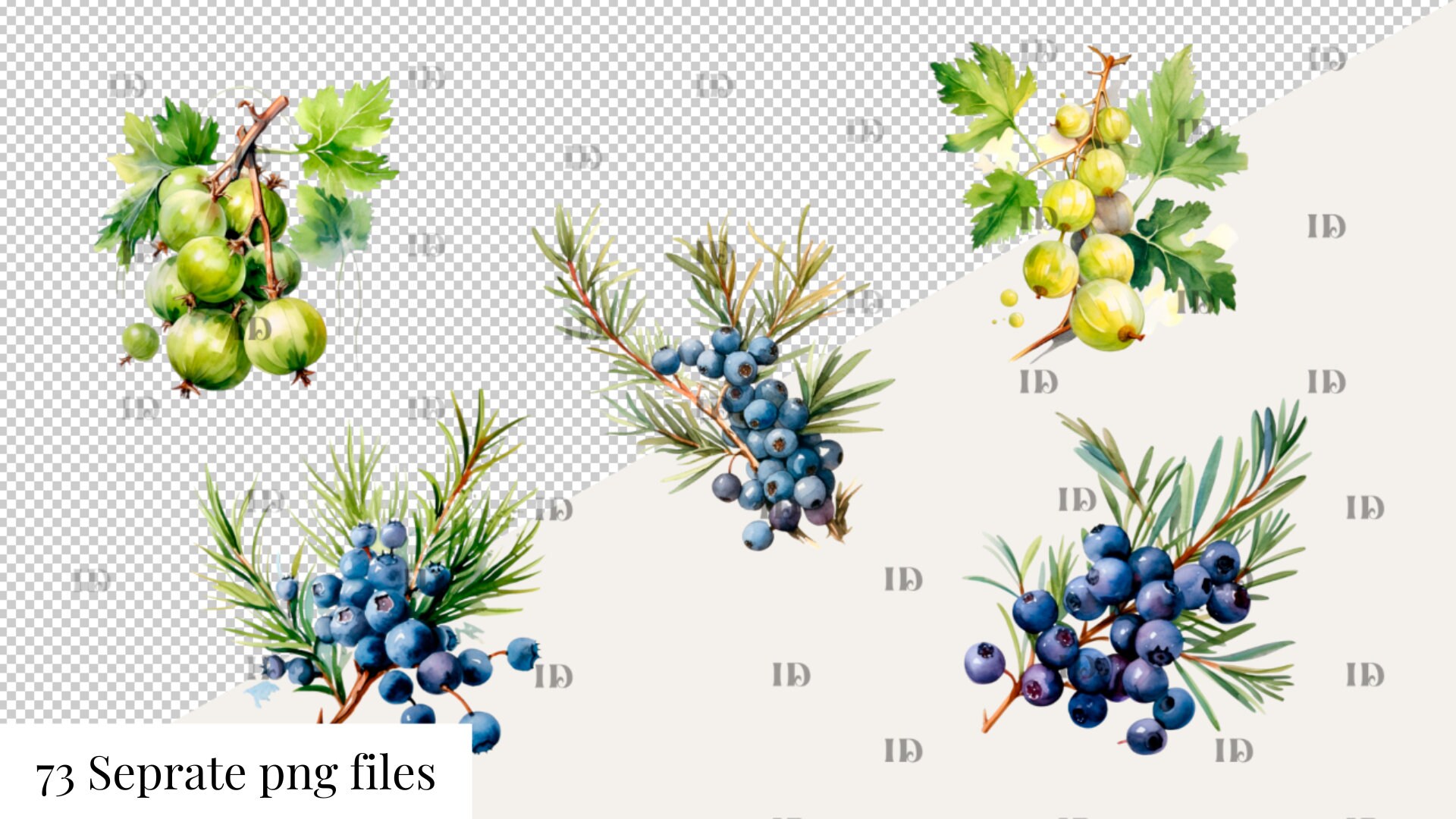 Nordic Berries Watercolor Clipart Set | Lingonberries, Cloudberries ... Nordic Berries Watercolor Clipart Set | Lingonberries, Cloudberries ...