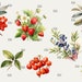 Nordic Berries Watercolor Clipart Set | Lingonberries, Cloudberries ...