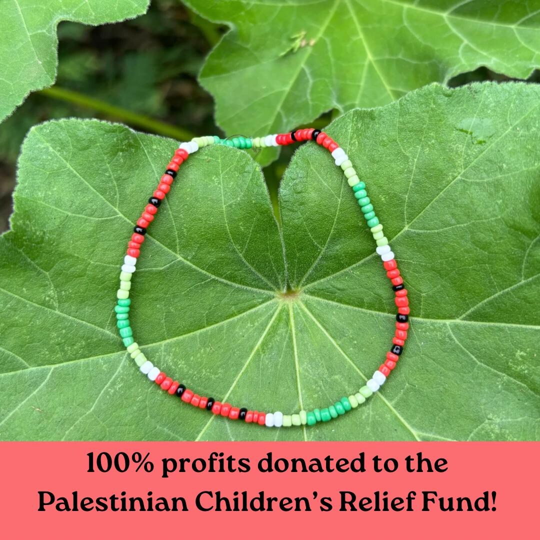 100% Profits Donated| Palestine Charity Watermelon Bracelet ...