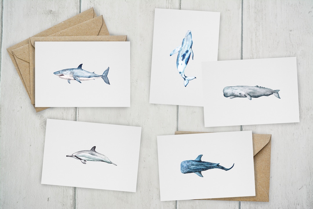 Sea Creature Note Card Pack, Art Cards, Pack of Cards, Whale Card ...