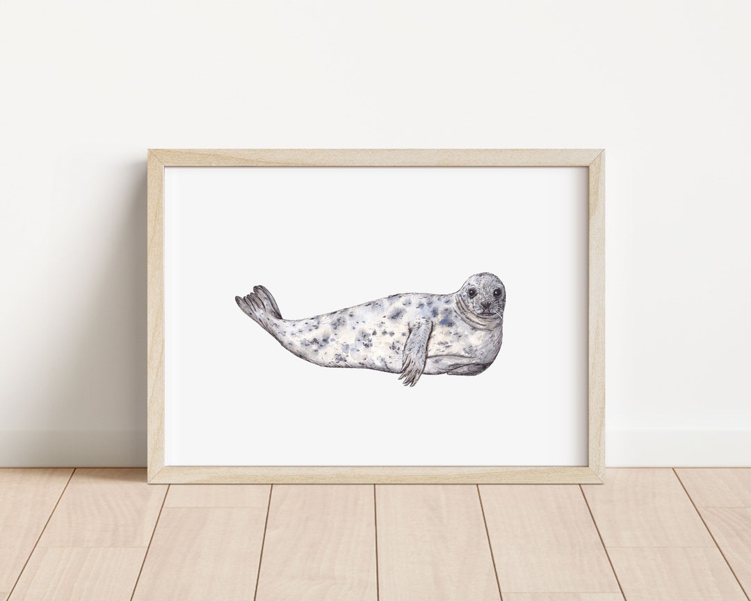 Harbour Seal Art Print, A5 or A4 Size - Etsy UK