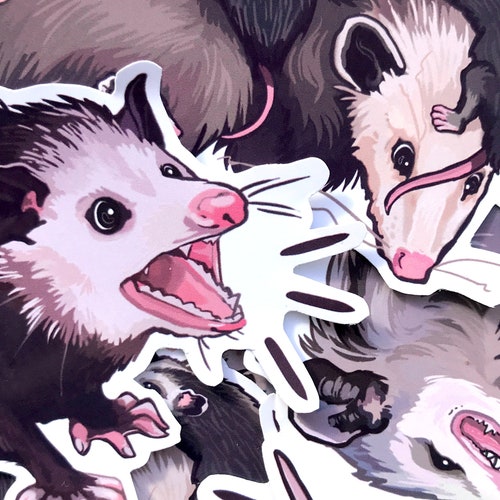 Opossum Vinyl Stickers pack of 3 Cute Waterproof Possum - Etsy