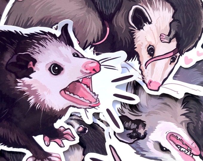 Opossum Stickers! - Etsy