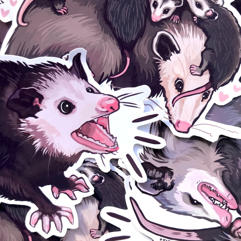 Opossum Stickers - Etsy