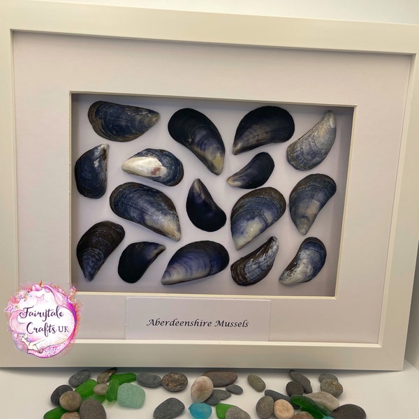 Mussel Shell Art - Etsy UK