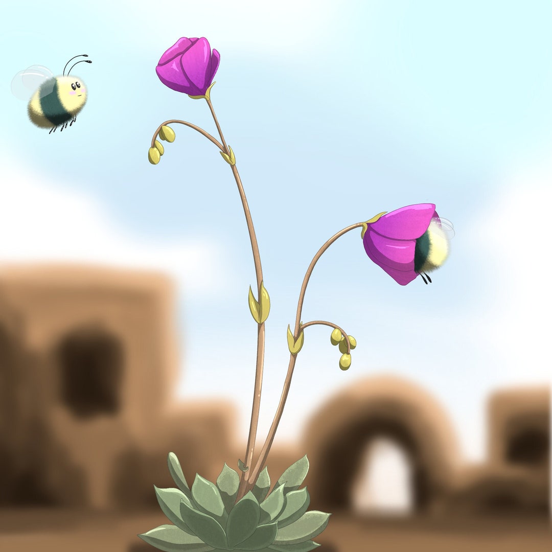Desert Pollinators - Etsy