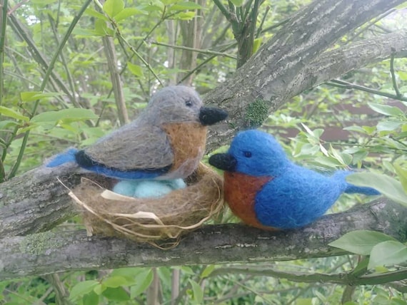 Bluebird Pair Male and Female Bluebird Mating Pair With Nest | Etsy