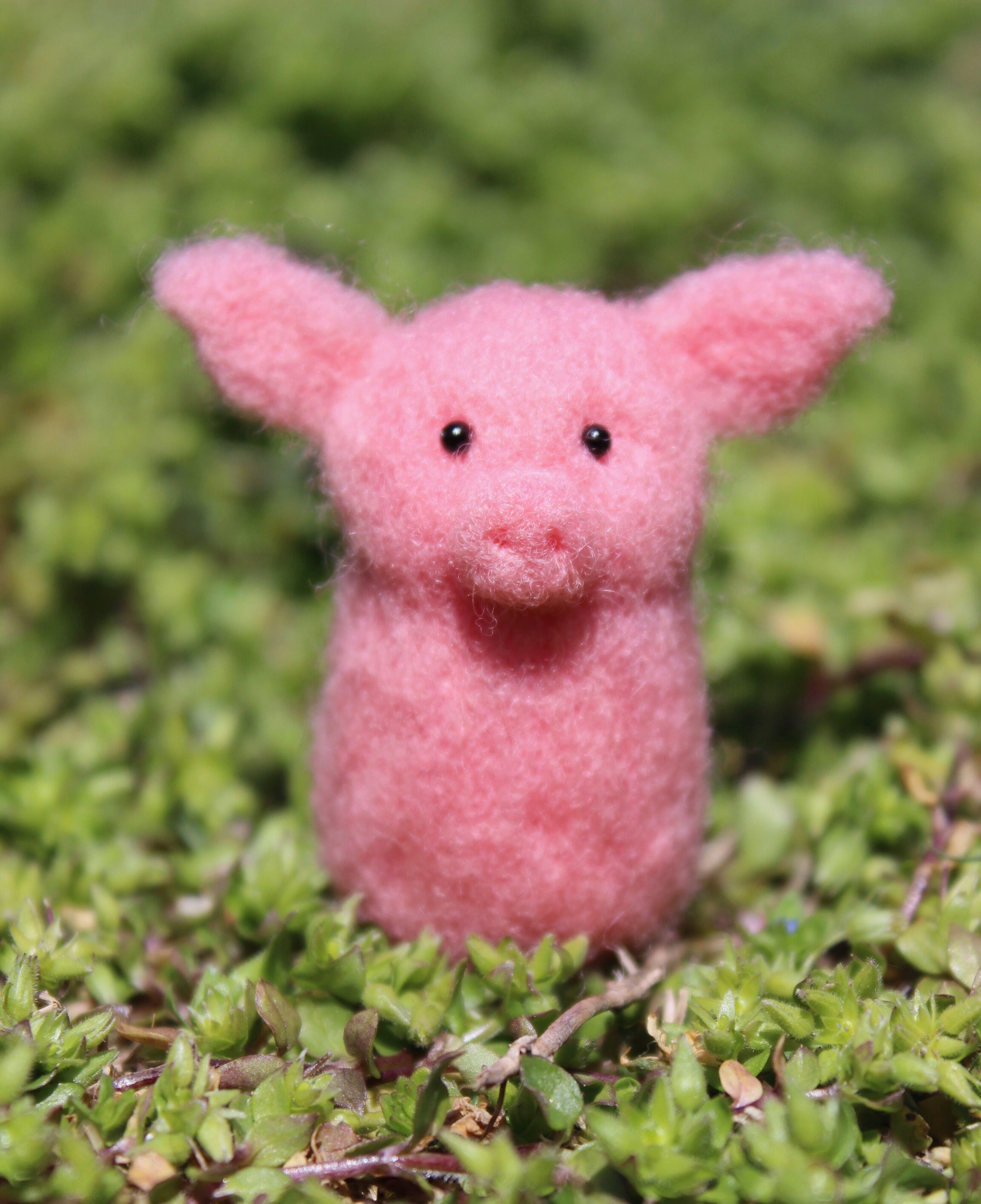 Pig Handmade needle felted pig | Etsy