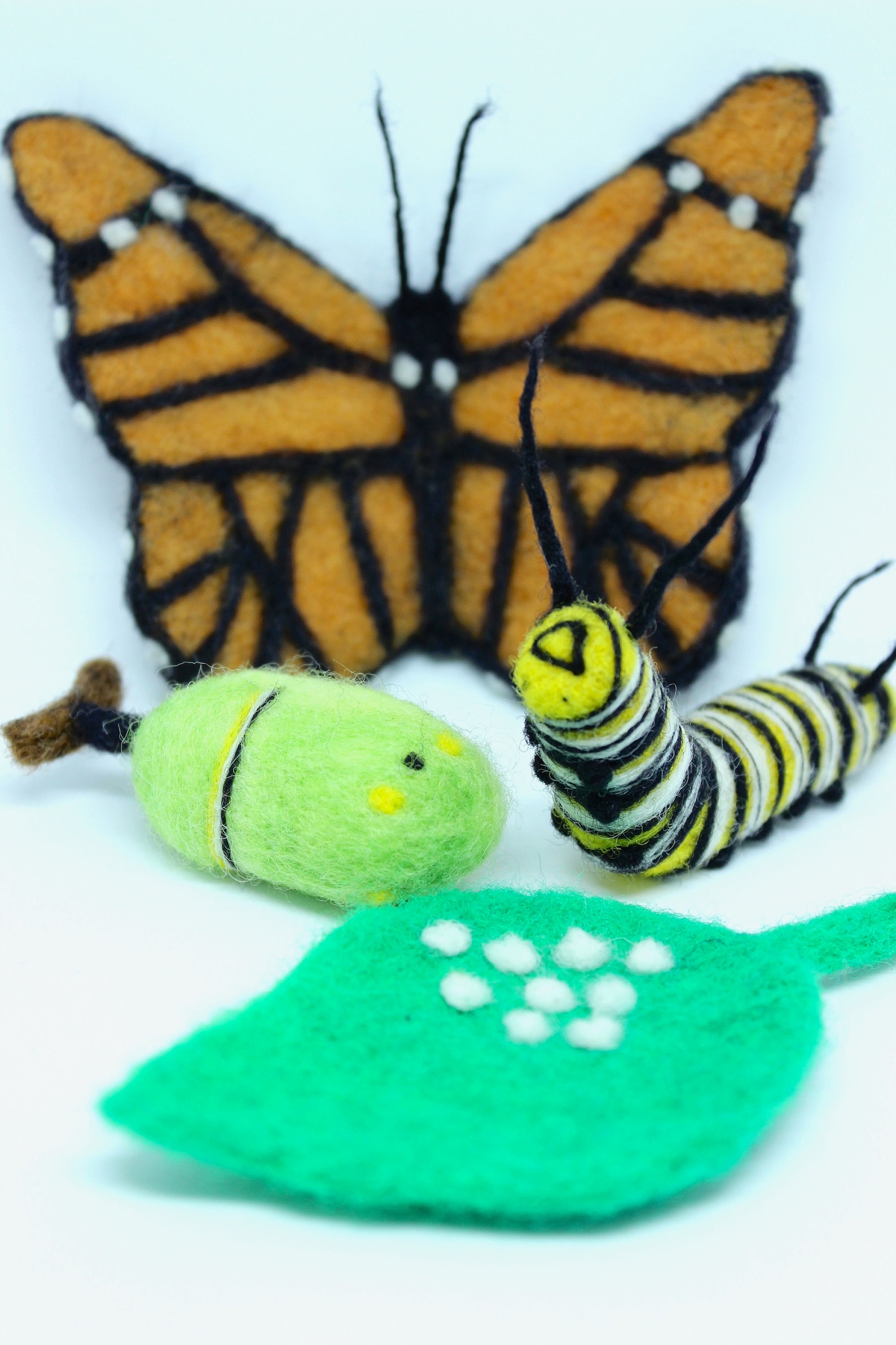 Butterfly Life Cycle Set; Monarch Butterfly Life Cycle; Monarch ...