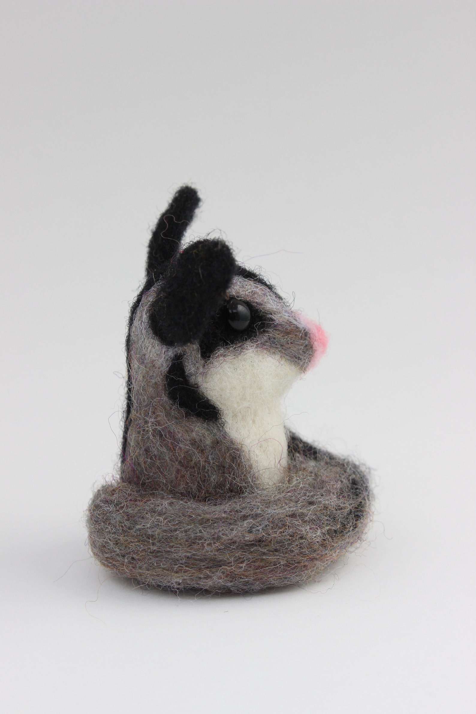 Sugar Glider; Handmade Needle Felted Wool Sugar Glider - Etsy