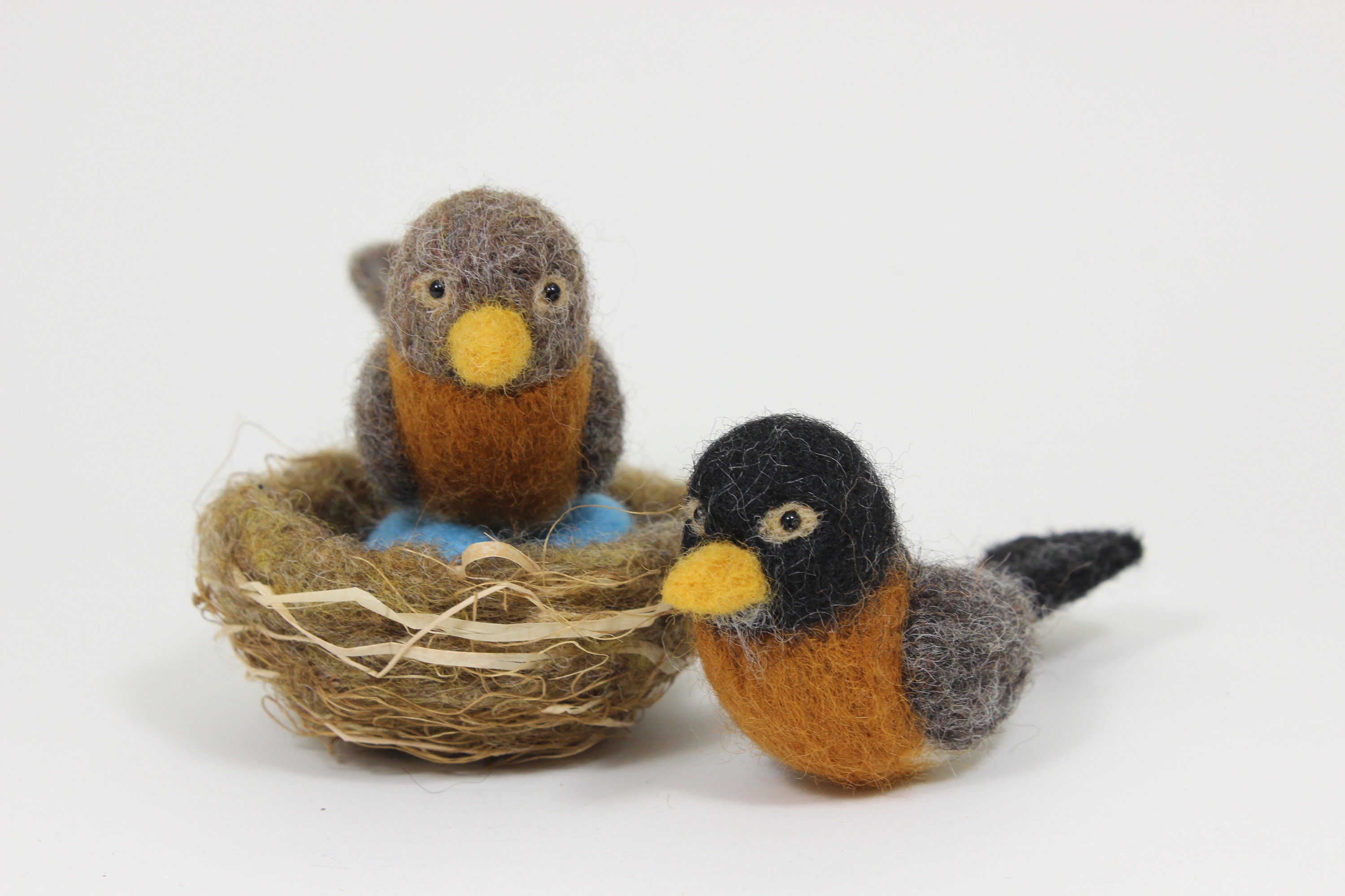 Robin Mating Pair With Nest and Eggs Robin's Nest - Etsy