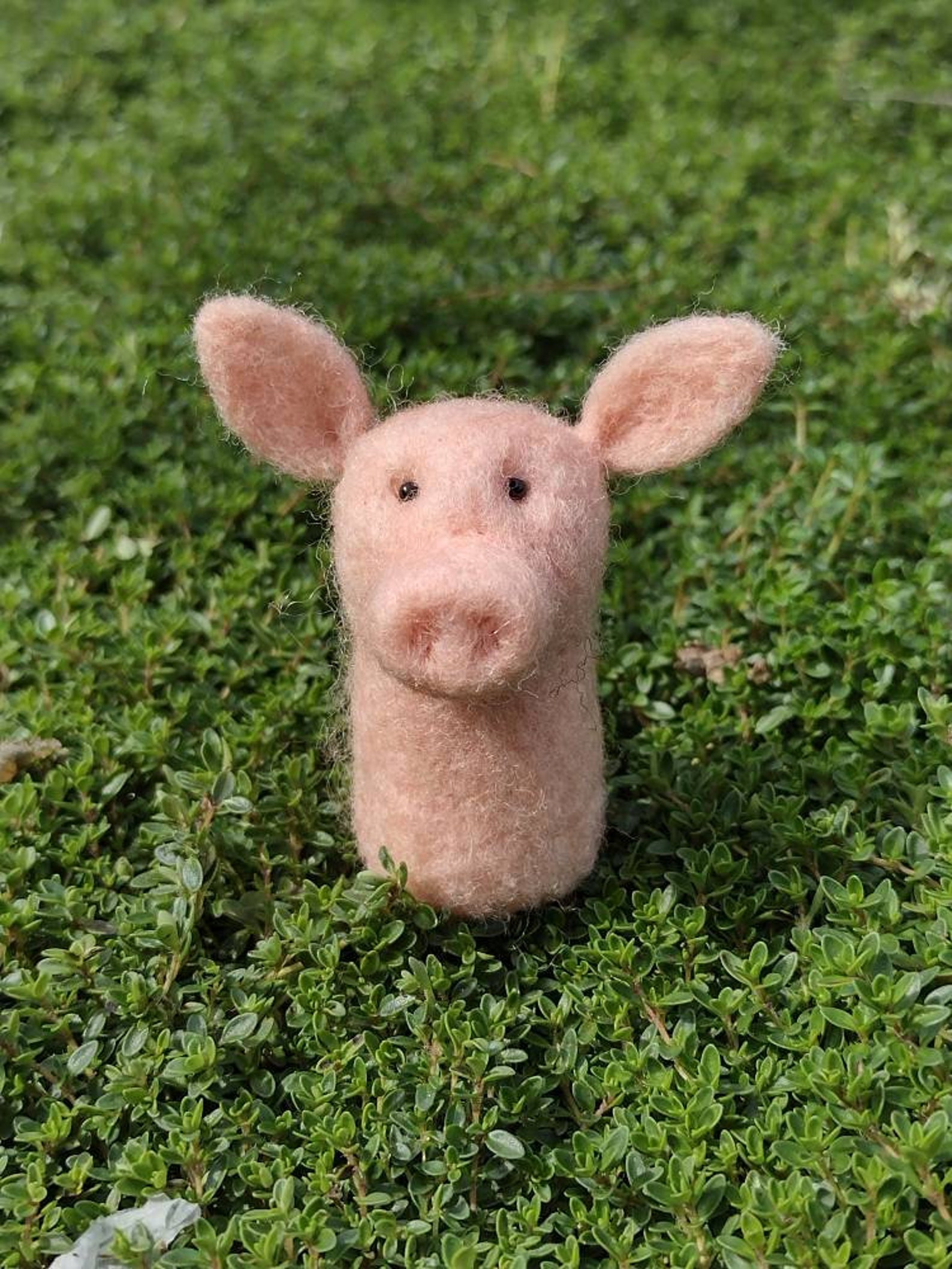 Pig; Handmade Needle Felted Pig - Etsy