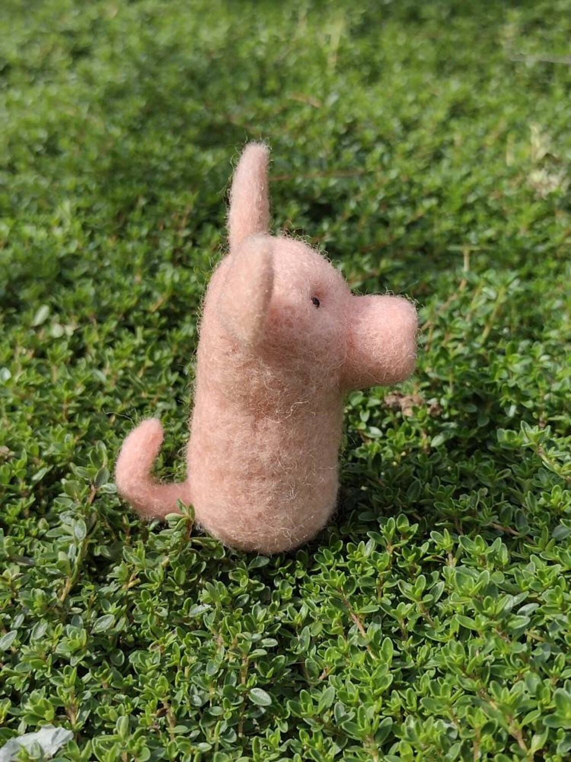Pig; Handmade Needle Felted Pig - Etsy