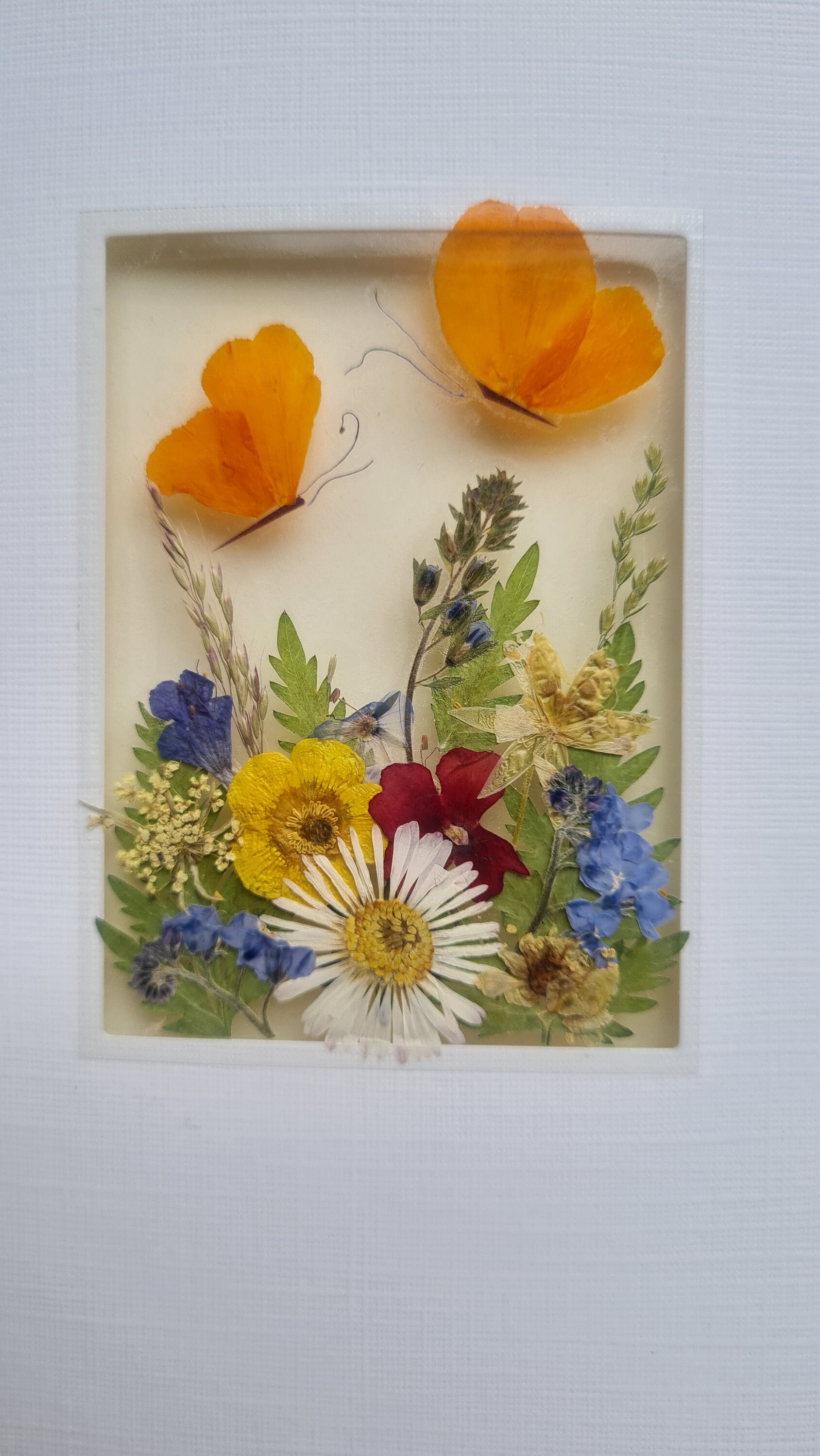 Set of 4 Real Dried Flowers Cards Butterfly Card Eco Cards - Etsy