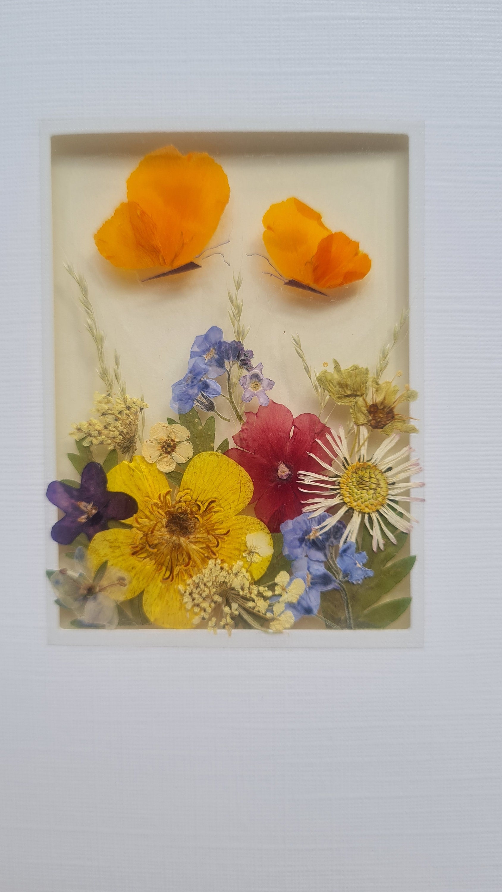 Set of 4 Real Dried Flowers Cards Butterfly Card Eco Cards - Etsy
