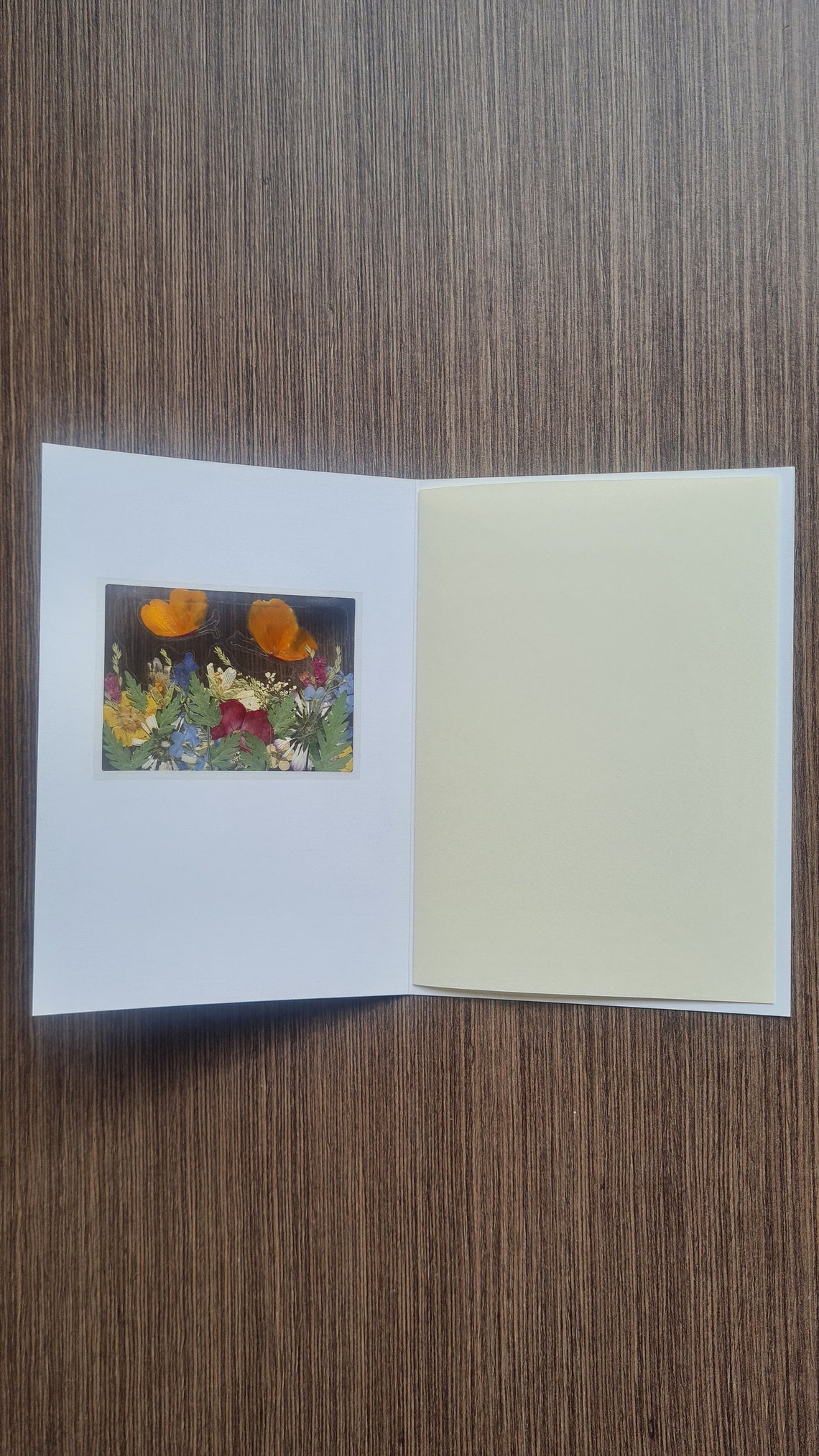 Set of 4 Real Dried Flowers Cards Butterfly Card Eco Cards - Etsy