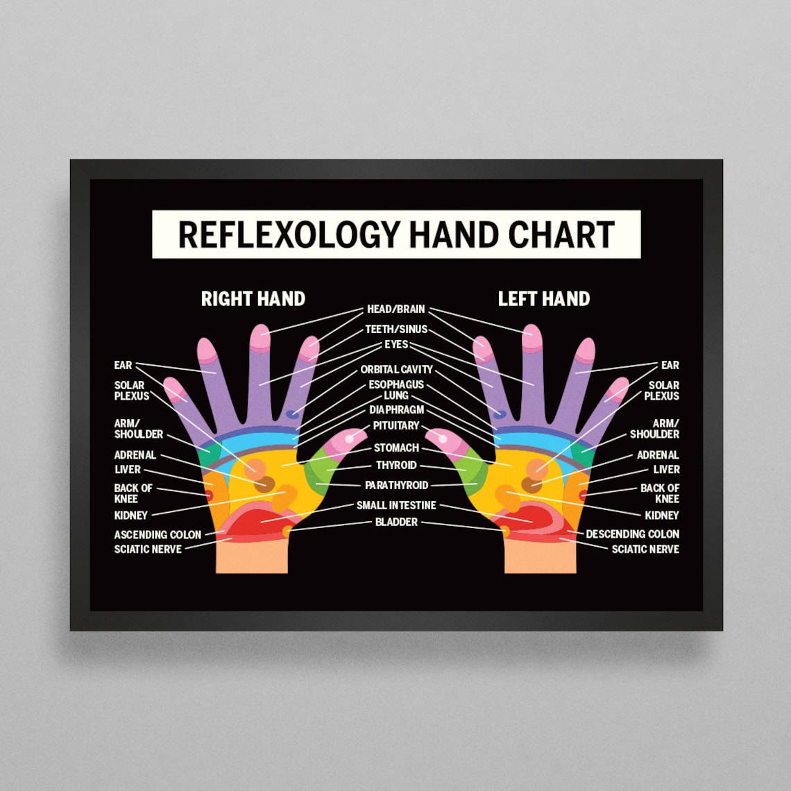 Reflexology Hand Chart Diagram Poster (2 Styles) - Mental Health ...