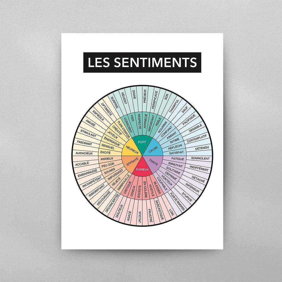French Feelings Wheel Poster: Therapy Mental Health Art - Etsy