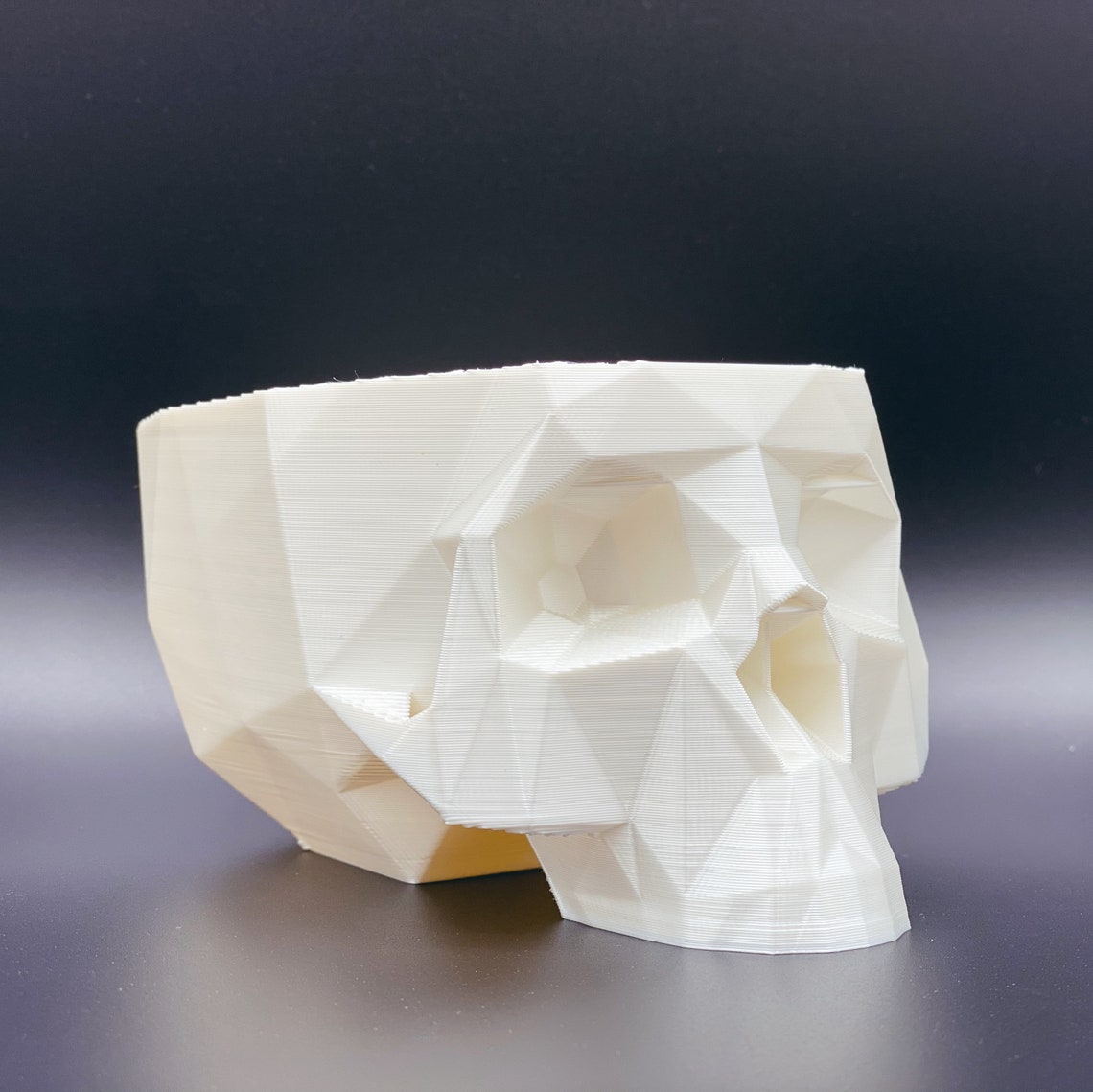 Large Low Polygon Skull Planter Home Decor DIY Ready to Be | Etsy