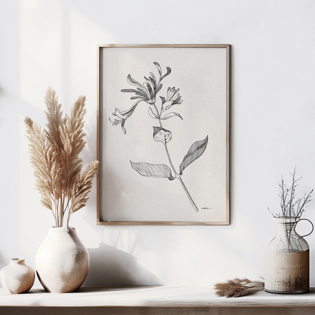 Line Drawing Honeysuckle Flower, Art Print, Wall Art - Etsy