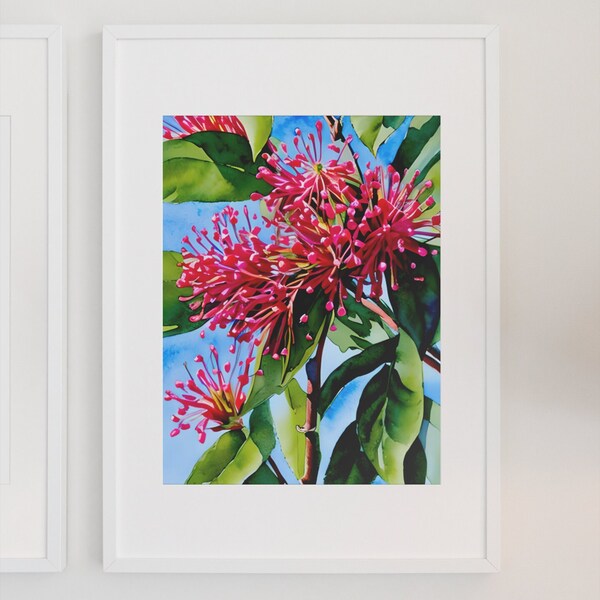 Flowering Gum - Etsy UK