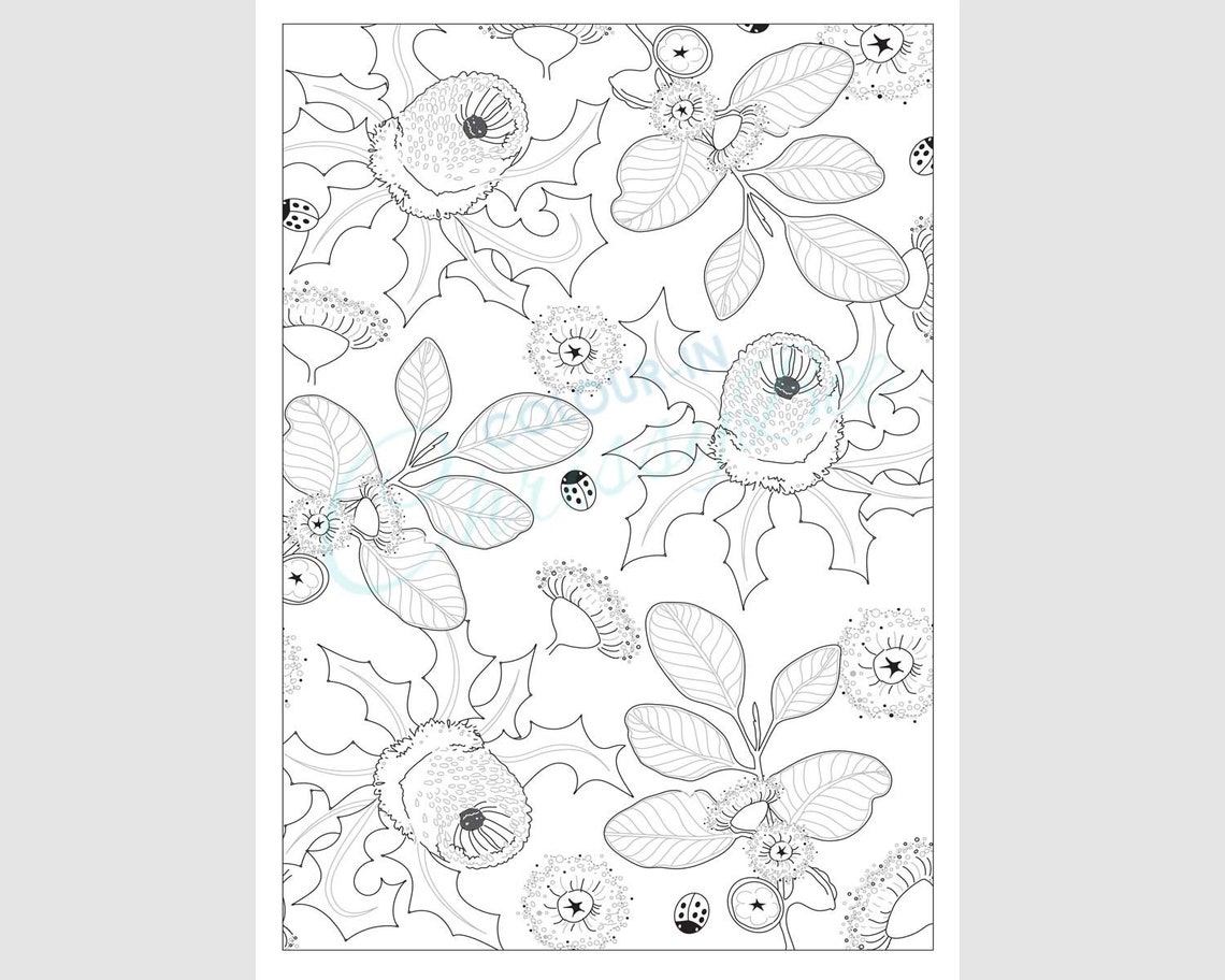 Australian Wildflower Colouring Page, Printable Banksia Native Flowers ...